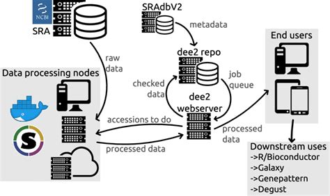 Overview Of Rna Seq Data Processing Storage And Provision Download Scientific Diagram
