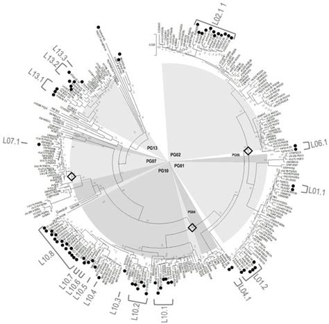 Pathogens Special Issue Pseudomonas Syringae Species Complex