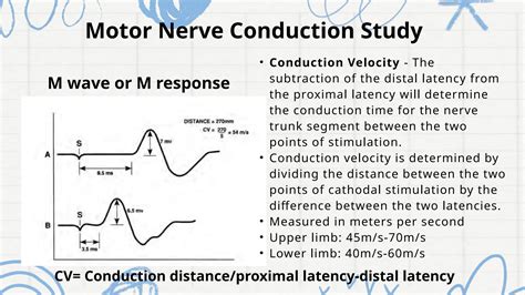 Nerve Conduction Study Or Ncs Motor Conduction Study Sensory