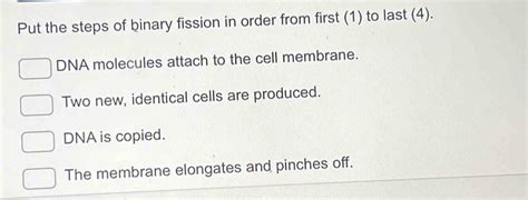 Solved Put The Steps Of Binary Fission In Order From First 1 To Last 4 Dna Molecules