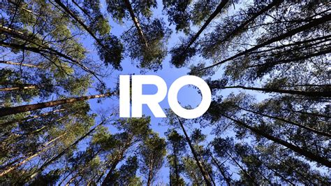 Iro Csrd Impacts Risques Et Opportunités Au Service De Votre