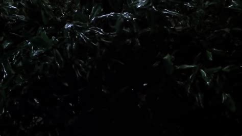 Giantess Vore The Kidnapper Same Size Vore Real Life Vore