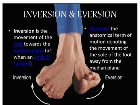 Inversion Movement A Beginners Guide To Plantarflexion And