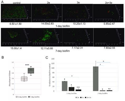 Bacteriophages Action Against E Faecalis Biofilm A Live Dead Download Scientific Diagram
