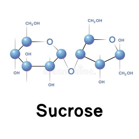 Sucrose Stock Vector Illustration Of Saccharose Science 40168351