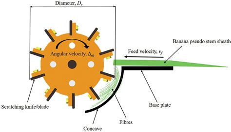 Working Principle Of Banana Pseudo Stem Fiber Extracting Raspador Download Scientific Diagram
