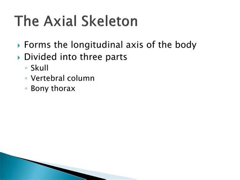 PPT The Axial Skeleton PowerPoint Presentation Free Download ID