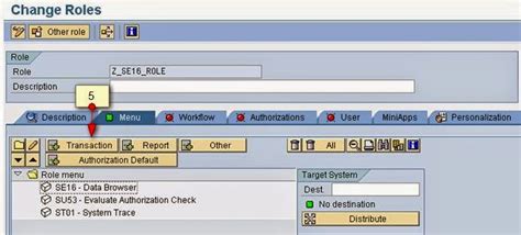 TIME SAP SECURITY Table Level Restriction