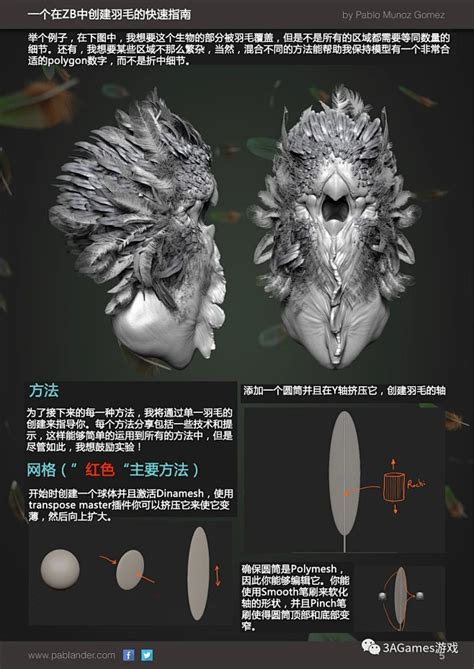 【技术分享】在zbrush中雕刻写实羽毛的教程 花瓣网