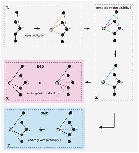 A Schematic Visualization Of The Three Steps Of The Network Gene Download Scientific Diagram