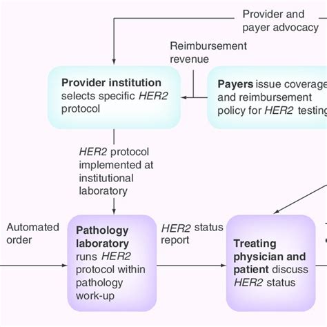 Her2 Testing Decision Making And Associated Stakeholder Challenges Download Scientific Diagram