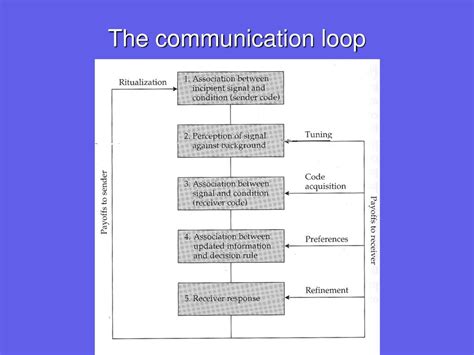 Chapter 16 Signal Evolution 41211 Ppt Download