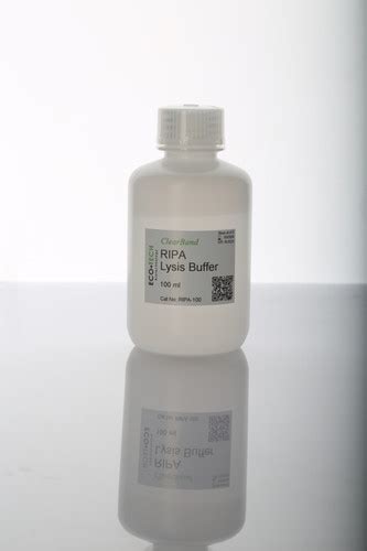 RIPA Lysis Buffer EcoTech