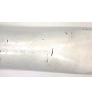 The Samples On Which The Hardness Was Determined And The Hardness Download Scientific Diagram