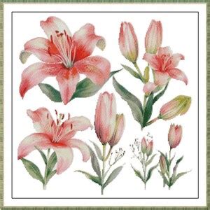 Sampler Cross Stitch Pattern Pink Lily Sampler Xstitch Pattern Keeper Embroidery Pdf Instant
