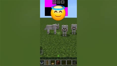 강아지 Minecraft Youtube