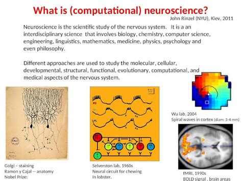 Ppt What Is Computational Neuroscience Dokumentips