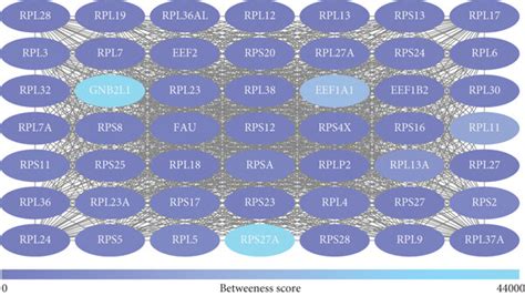 A C Key Gene Modules Predicted By Mcode The Top 3 Key Gene Clusters Download Scientific