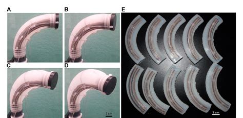 Figure 1 From Endurance Tests For A Fabricreinforced Inflatable Soft Actuator Semantic Scholar