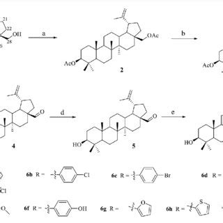 Reagents And Conditions A Ac 2 O DMAP Pyridine Room Temperature Download Scientific