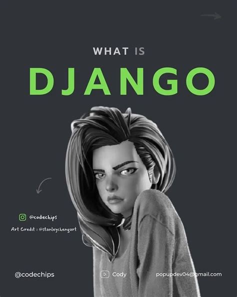 django is a high level python computer programming hub