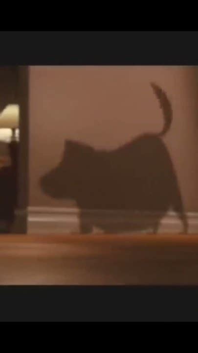 как вам такая отсылка дисней мультик фильм пиксар вверх рататуй даг реми париж хозяин