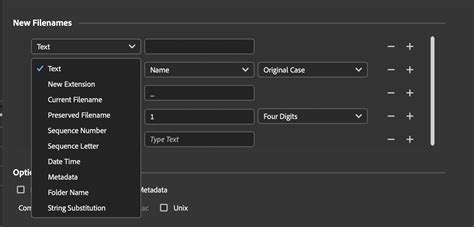 Solved How Do I Batch Rename To Add A Prefix Adobe Product