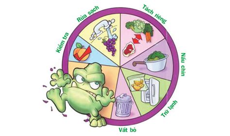 Hình ảnh Vệ Sinh An Toàn Thực Phẩm Tuyên Truyền Sức Khỏe Cộng đồng