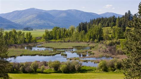 What Happened To The Bodies Of The Victims From The Ruby Ridge Standoff