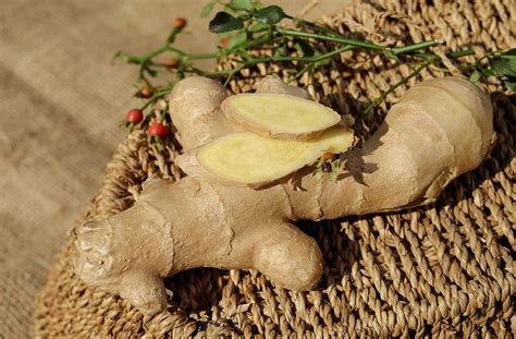 Ginger Counters Certain Autoimmune Diseases In Mice Neuroscience News