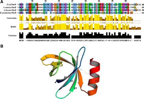 Sequence Alignment And Crystal Structure Of E Coli Pmrd A Sequence