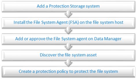 Roadmap To Protect A File System Dell Powerprotect Data Manager File