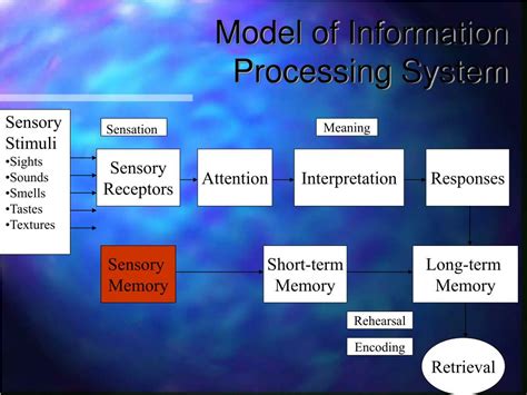 Ppt Consumer Information Processing Powerpoint Presentation Free Download Id 308354