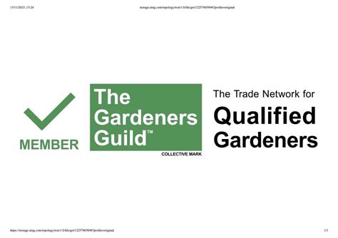 Delphinium Blue Flowers Perennial