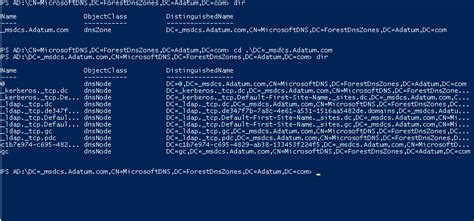 Dns Application Partition Contents Using Powershell An It Diary Of Ai