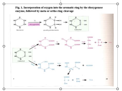 can anyone kindly help me with these topics like if you can explain what is happening or any