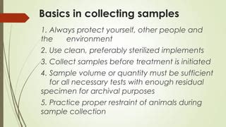Collection And Handling Of Specimens For Laboratory Diagnosis PPT