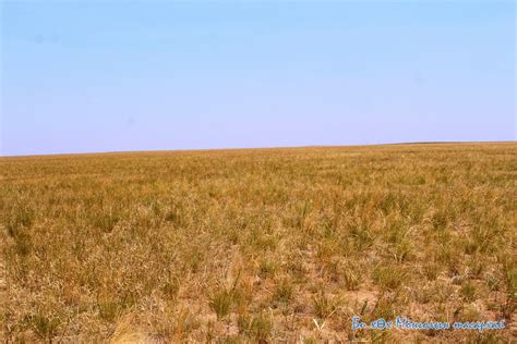 Мэнэнгийн тал Дорнод аймаг Матад сум Narkhuu Enkhbold Flickr