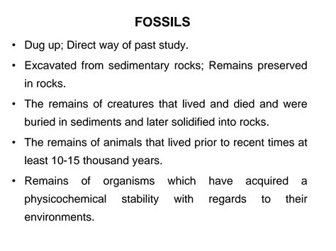 Solution Fossils Fossilization Studypool