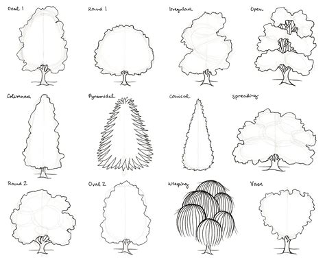 How To Draw A Tree Step By Step With Pencil