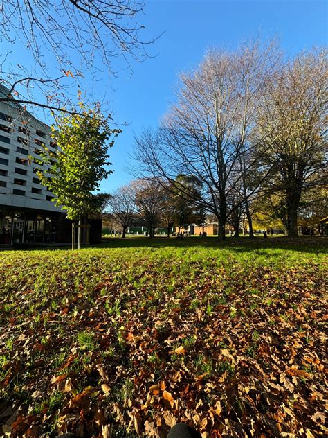 Princess Racks On Tumblr