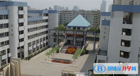 瑞安市第五中学网站网址主页