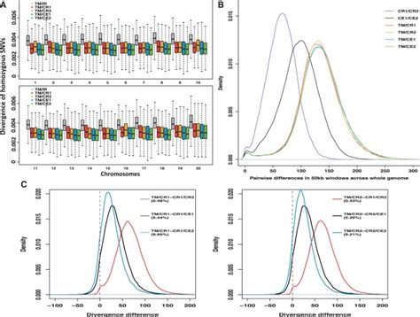 Single Nucleotide Divergence And Pairwise Differences A Download Scientific Diagram