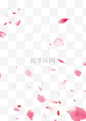 花瓣网素材图片 花瓣网素材图片素材免费下载 千库网