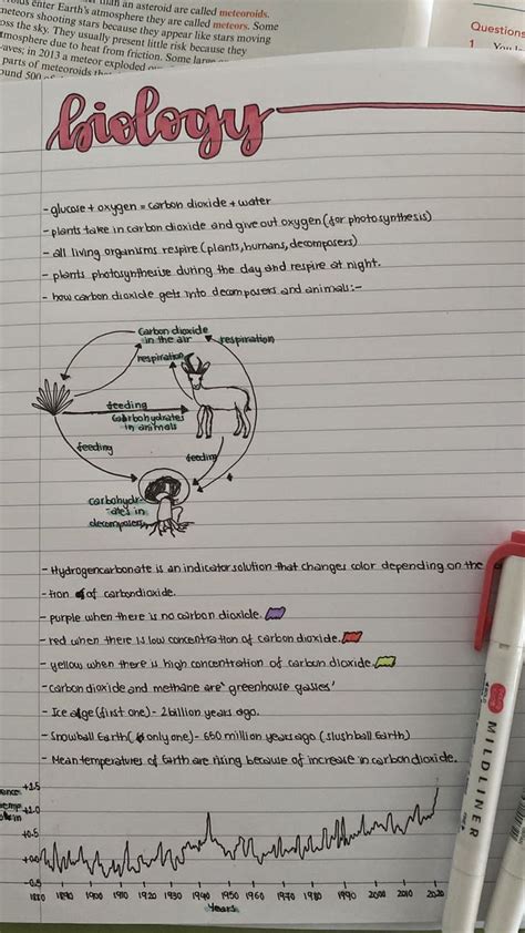 Bio Aesthetic Notes Photosynthesis Earth Atmosphere Water Plants