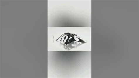 Generative X Learning Python In Grasshopper With Generative Design