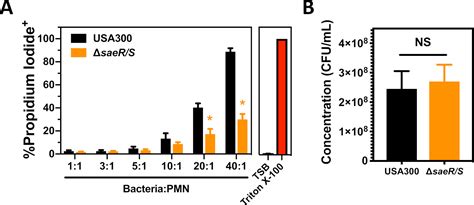 Quantifying The Cytotoxicity Of Staphylococcus Aureus Against Human Polymorphonuclear Leukocytes