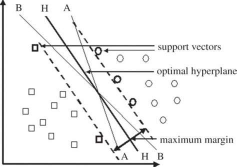 Shows SVM Structure Download Scientific Diagram