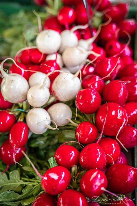 Explore 23 Best Low Carb Vegetables Low Carb No Carb