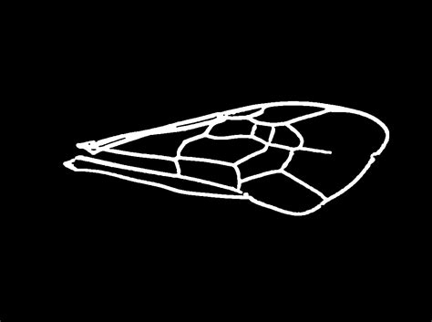 Обрезать изображение Opencv Python